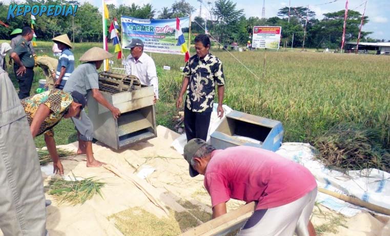 Teknologi CSA Berupaya Tingkatkan Indeks Pertanaman Dukung ...